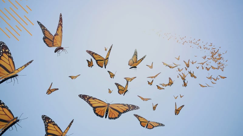 Juriba evolves from Workplace Automation to Digital Platform Conductor ...