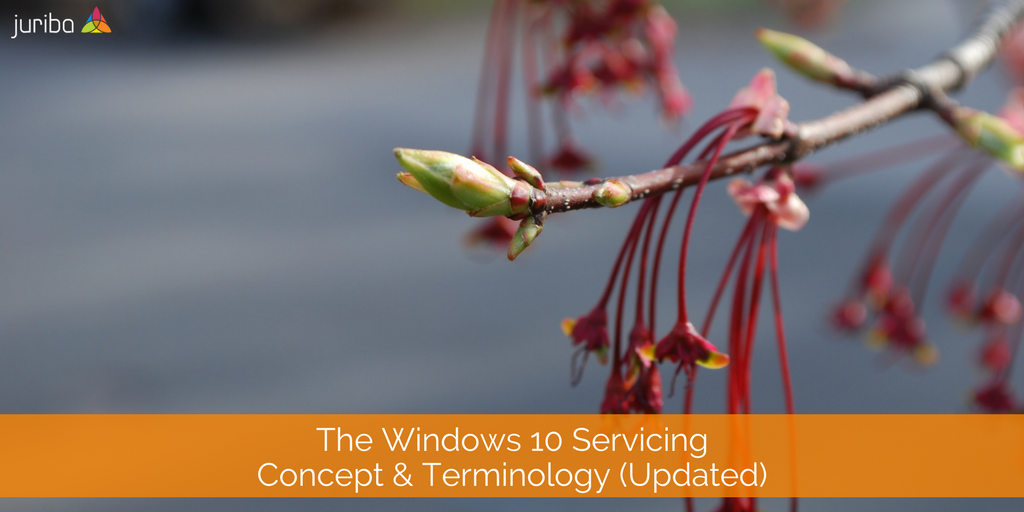 The Windows 10 Servicing Concept & Terminology (Updated)