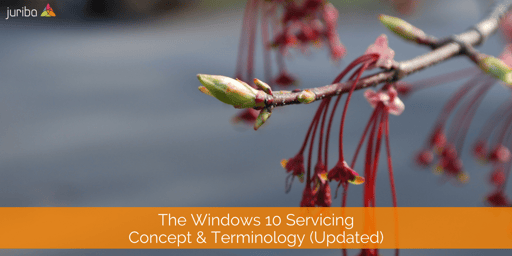 The Windows 10 Servicing Concept & Terminology (Updated)